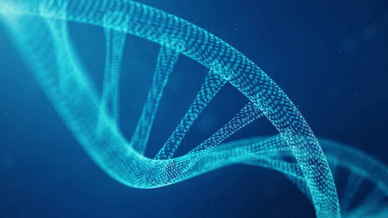 CDC: Genetics Basics – emergencymessagesystem.com